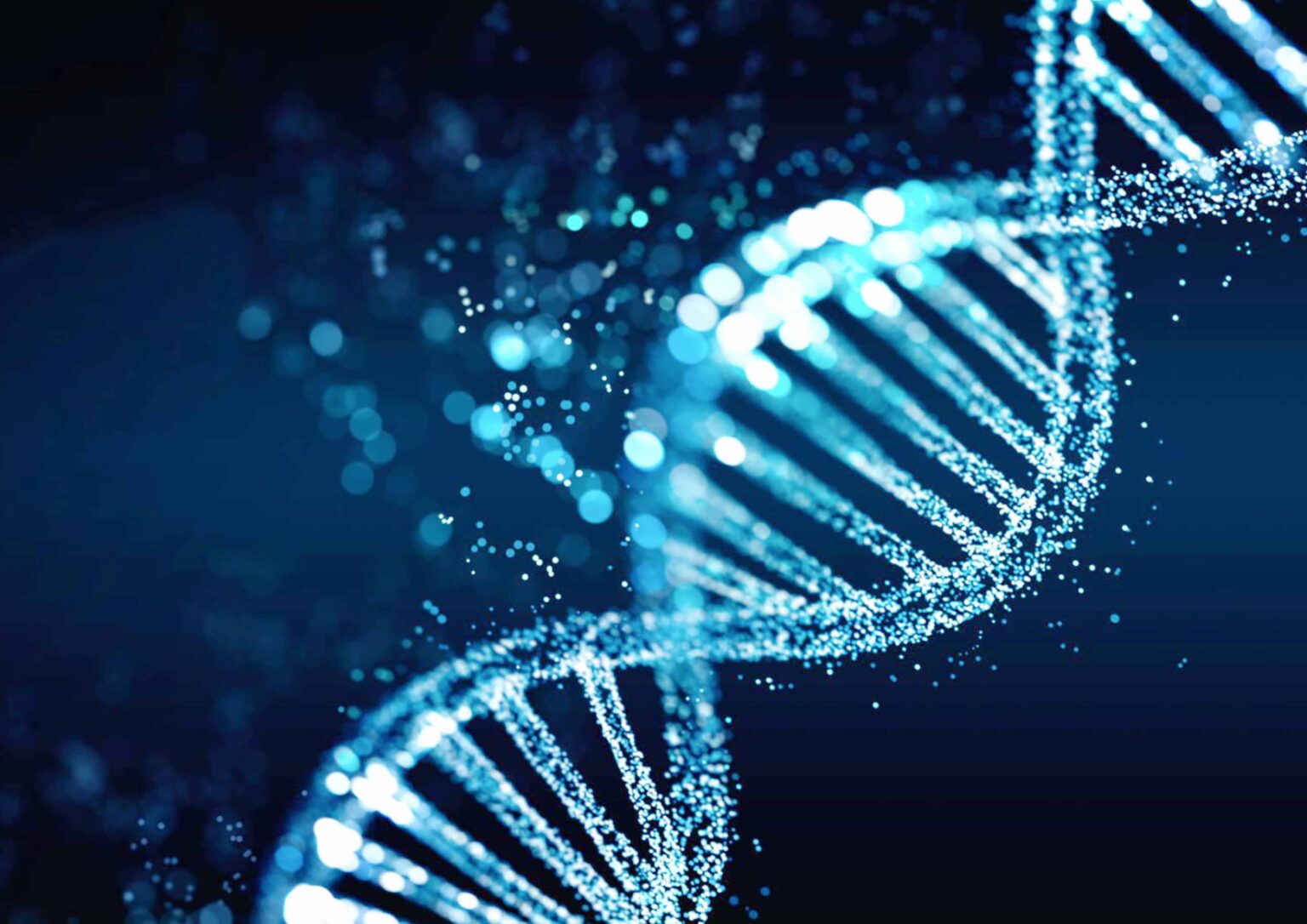 Über uns – Olthoff Freight Solutions GmbH